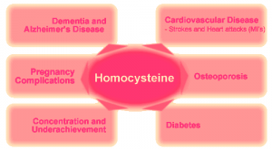 Why You Should Conduct Homocysteine Test for Cardiac Problems?