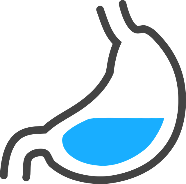 A Comprehensive Guide to Treating Gallbladder Stone